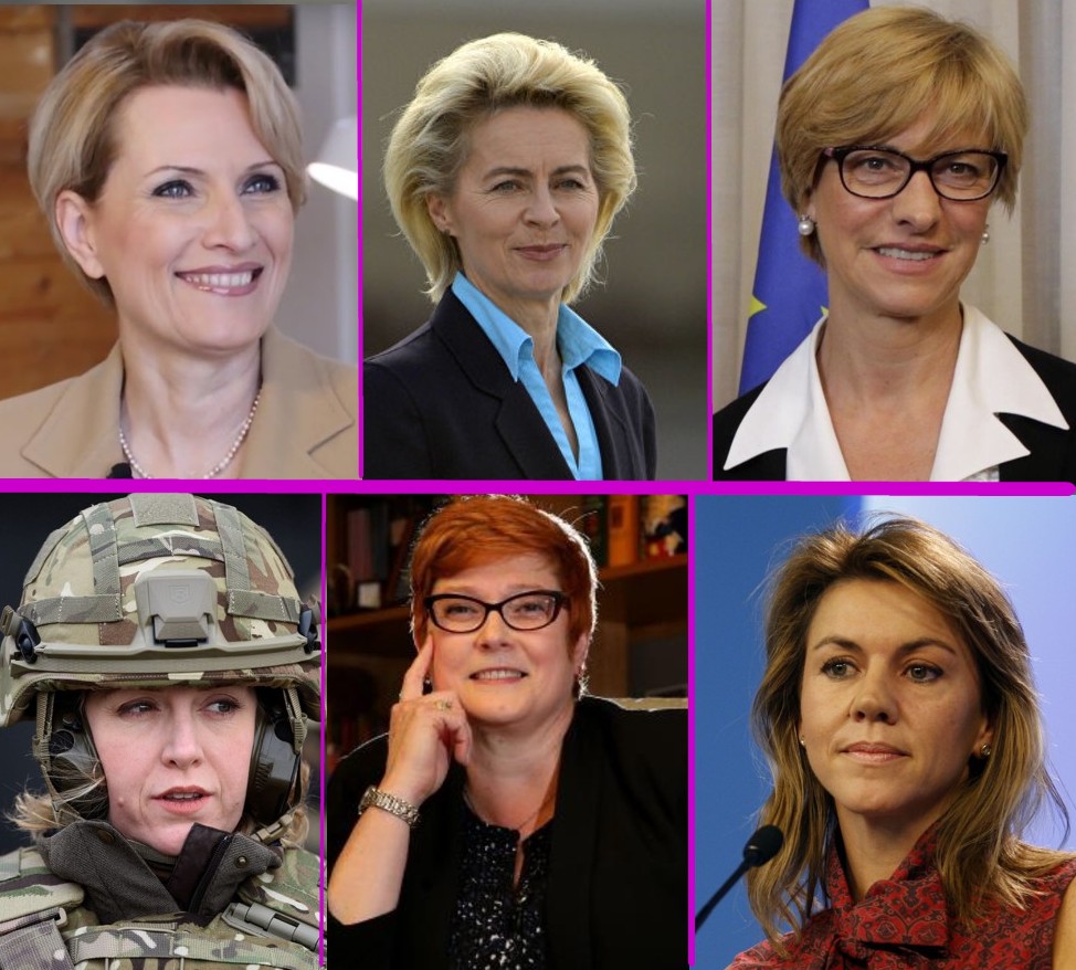 Female Defence Ministers Please Apply - Male Soldier Applications ...